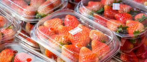 Custom Packaging | CJK Packaging